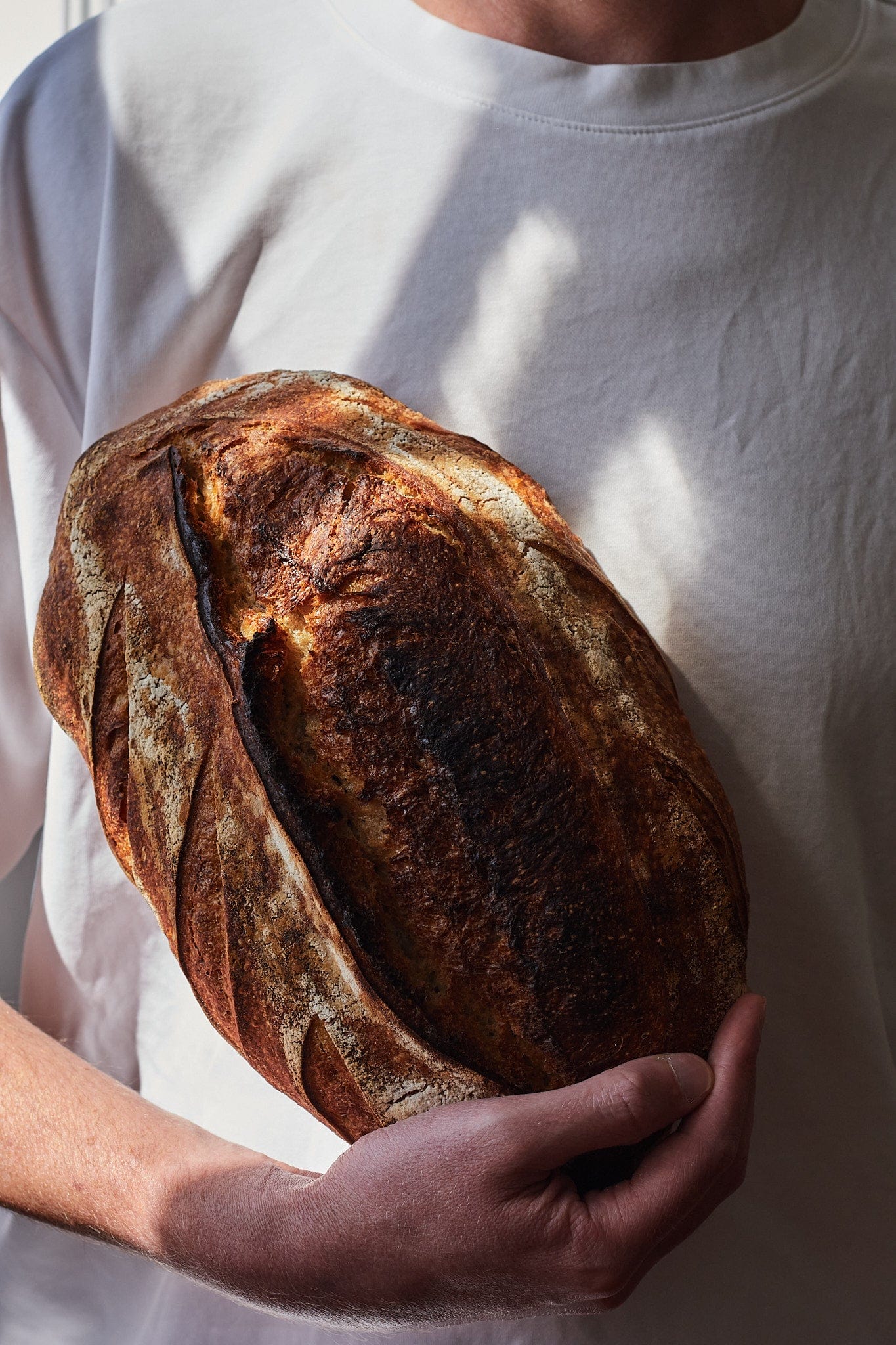 Organic Heritage T80 Flour – Resilience Blend